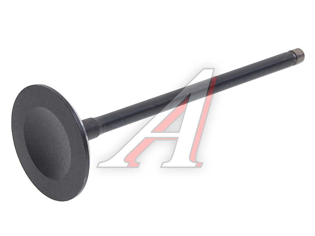 Клапан впускной CHEVROLET Aveo (03-) (1.2 OHC) PMC - HCZC-003 - купить ...