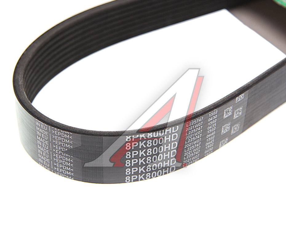 Ремень приводной поликлиновой 8PK800 GATES - 8PK800HD - купить в Авто ...