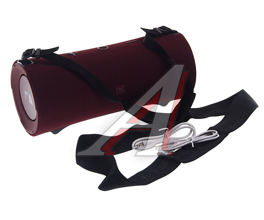 Колонка беспроводная bluetooth NAKAMICHI - Punch RED - купить в Авто ...